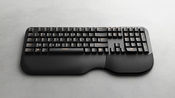 7 Best Ergonomic Keyboards for Office Productivity – LeStallion